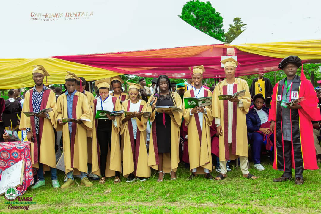 Updated List of UAES Courses and Requirements for 2025/2026 Academic ...